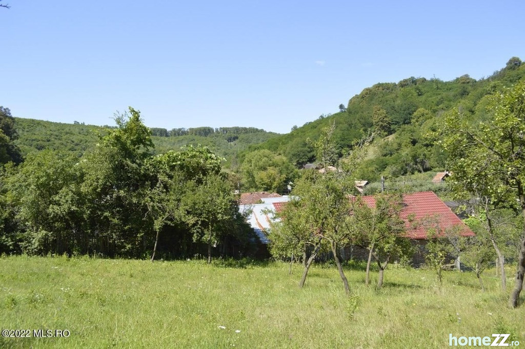 Valea Ursului - Sat Mica, teren 1584 mp, stradal in Bascov