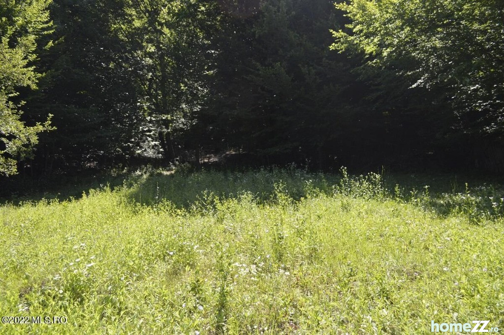 Valea Ursului - Sat Mica, teren 1584 mp, stradal in Bascov