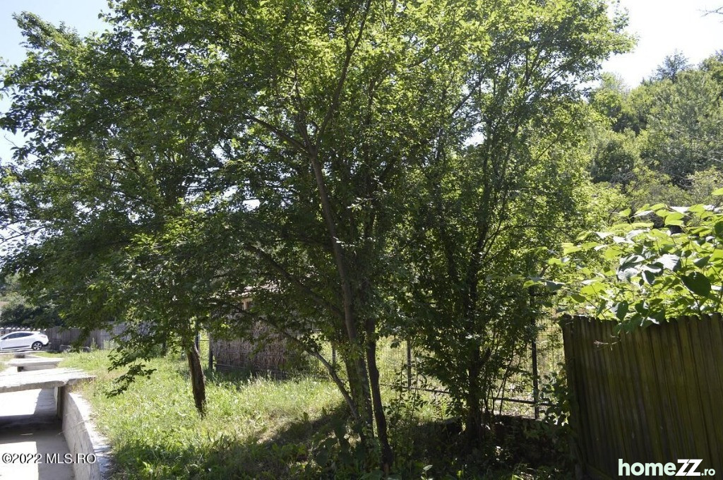 Valea Ursului - Sat Mica, teren 1584 mp, stradal in Bascov