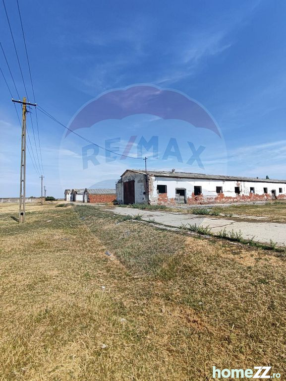 Teren intravilan in suprafata de 42000 mp in loc. Talpos ... in Talpos